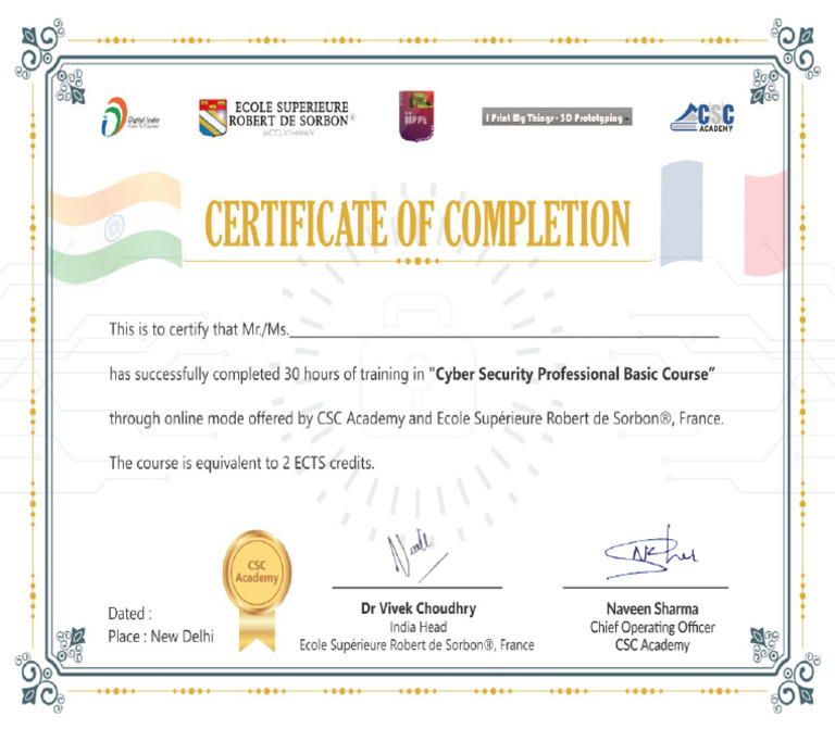 Cyber Secutiy Certificate - CSCAcademy | PDF