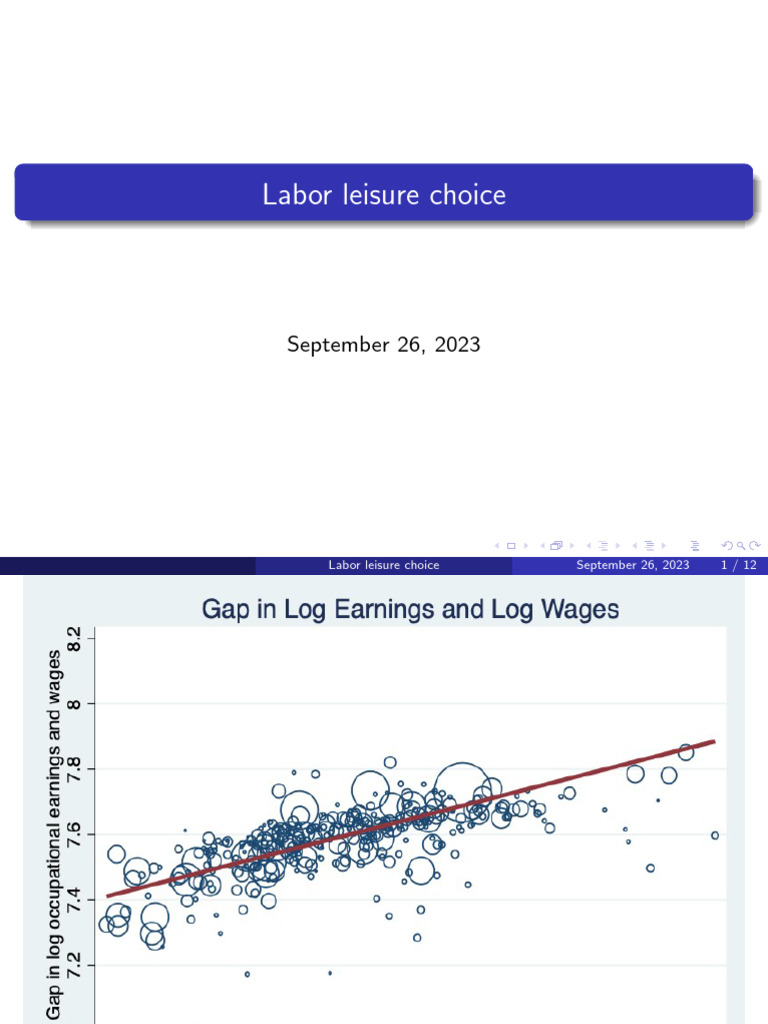 Understanding Labor-Leisure Choices | PDF | Labour Economics | Employment