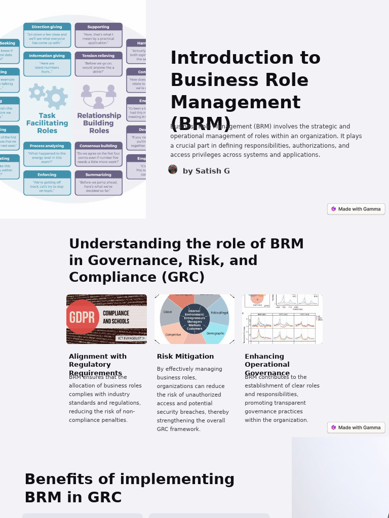 Business Role Management BRM | PDF | Regulatory Compliance | Governance