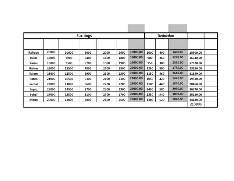 Salary Breakdown and Net Pay Summary | PDF