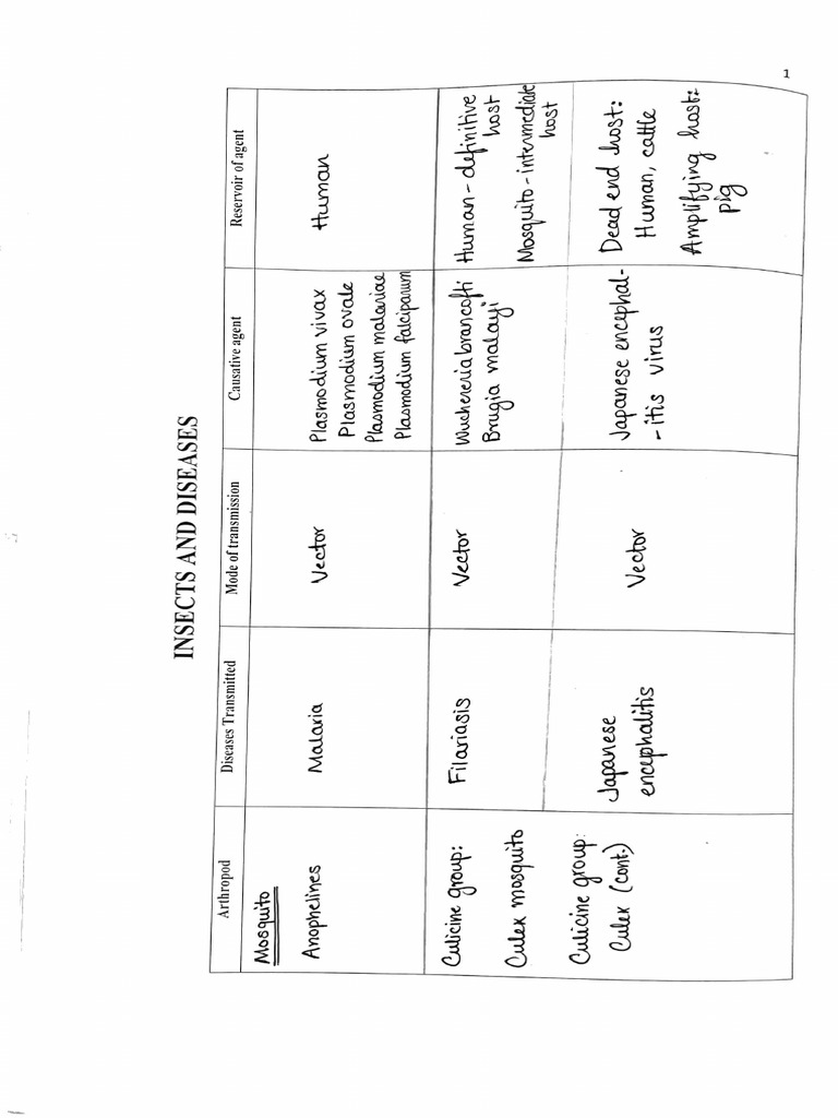 ComMed Record UpToDate | PDF