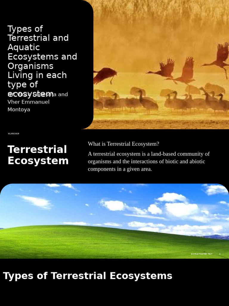 Types of Terrestrial and Aquatic Ecosystems and Organisms Living in Each Type of Ecosystem | PDF ...