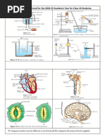 Class 10 Science Important Diagrams (1) | PDF