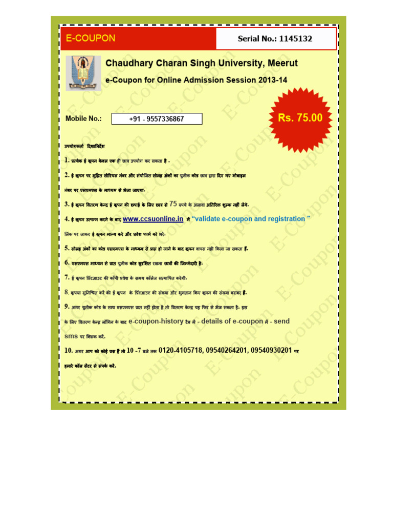E Coupon | PDF