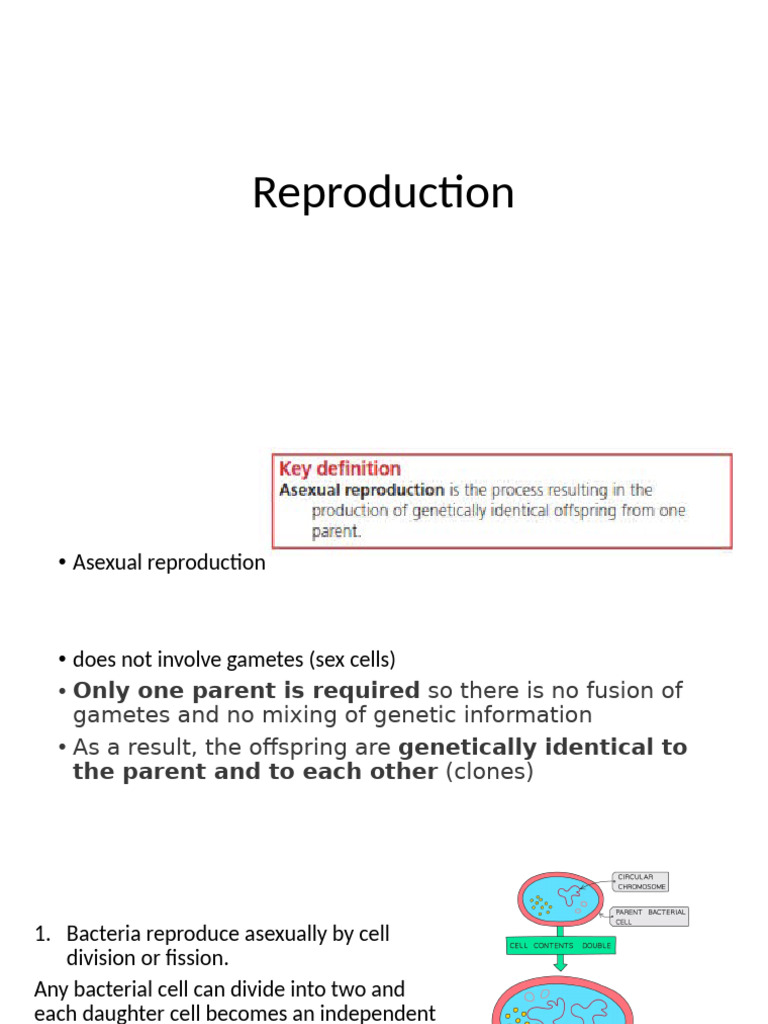 Asexual Reproduction Plant Reproduciton 1 | PDF | Reproduction | Plants