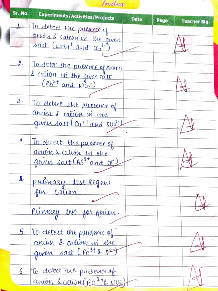 Chemistry Practical 2024 25 Lab Manual | PDF