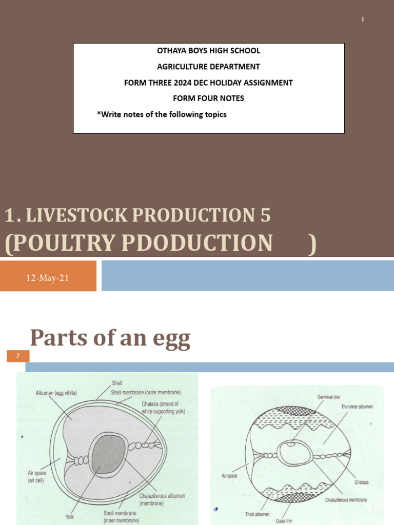 Agriculture-Form 3 2024 Dec Holiday Assignment | PDF | Chicken | Egg