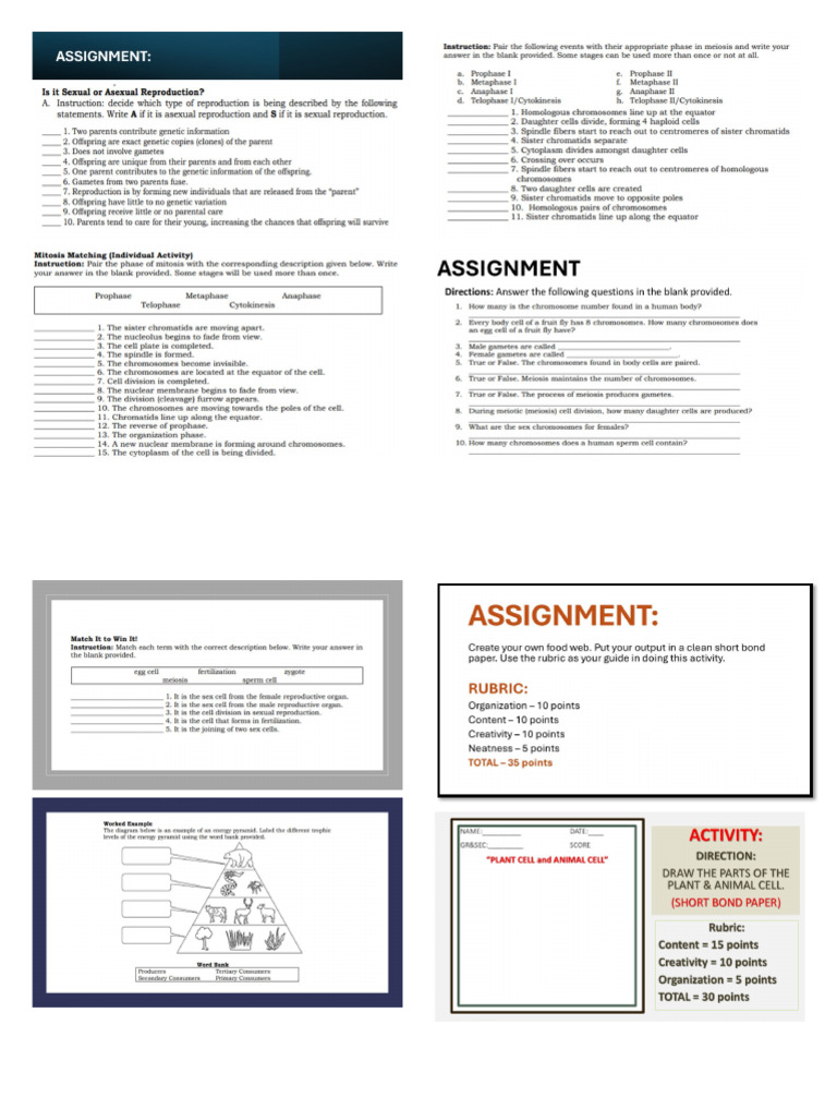 Q2 - Science 7 Activities | PDF