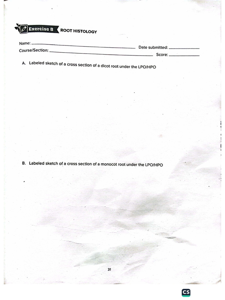 Botany Activity Sheet | PDF