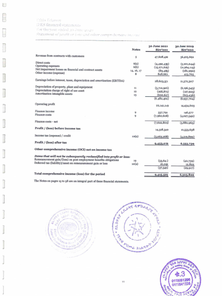 2020 Audited Financial Statement Report | PDF