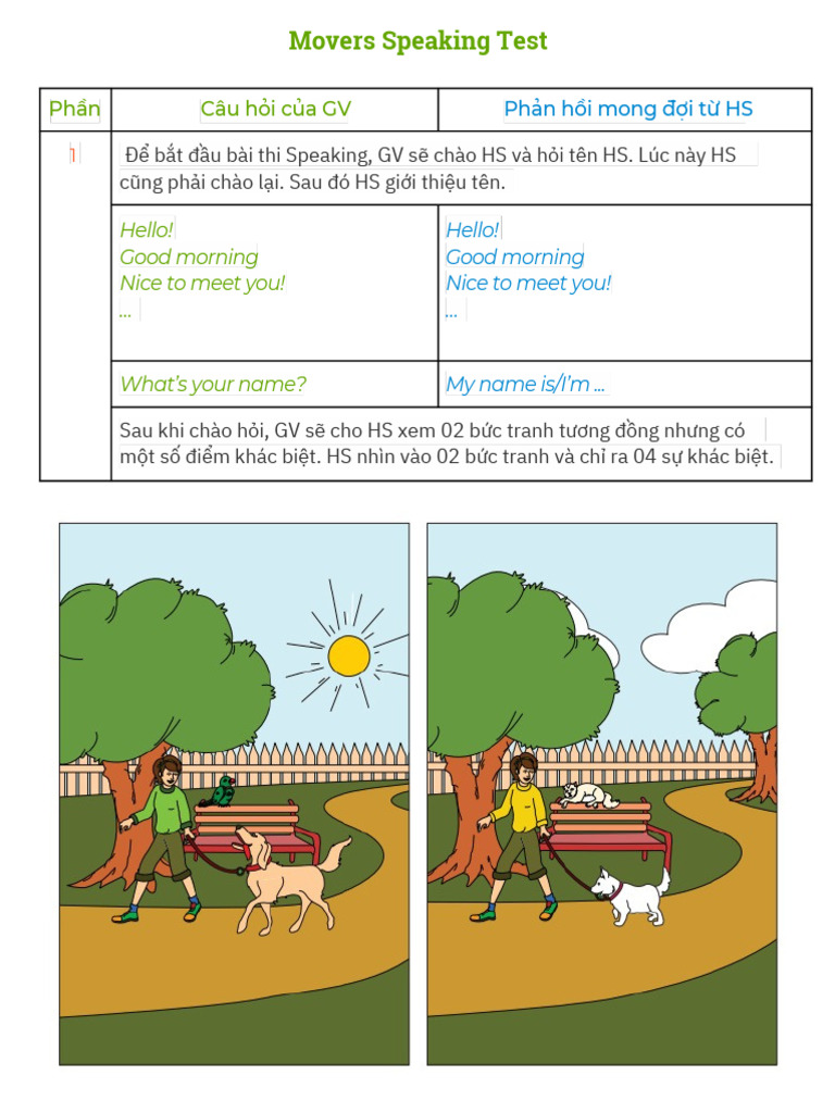 Movers Speaking Test Guideline PDF | PDF
