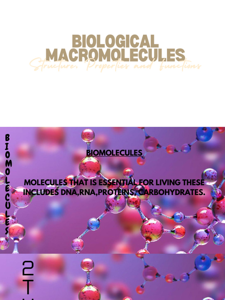 Structures Properties and Functions of Biological Macromolecules by | PDF