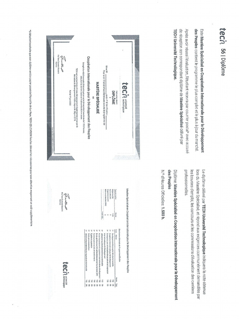 Diplome Master | PDF