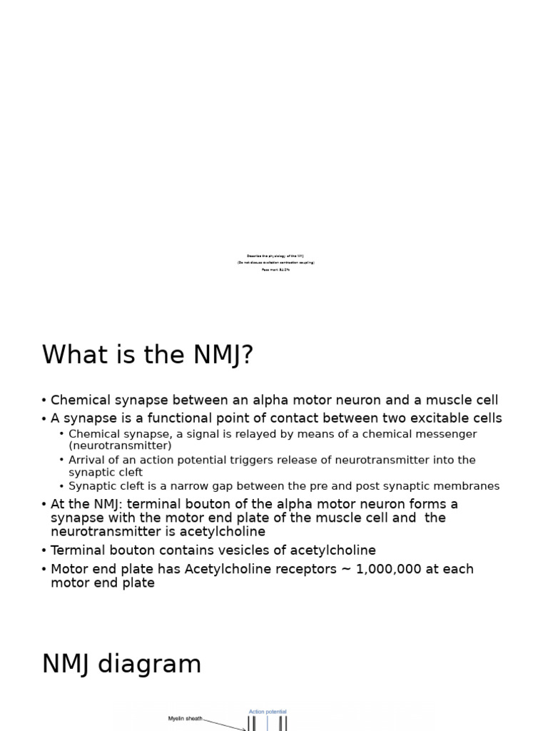 NMJ | PDF | Neuromuscular Junction | Chemical Synapse
