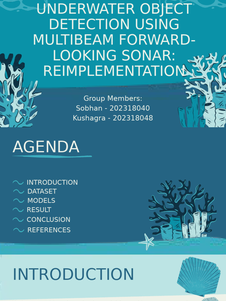 Mini Project PPT Dec | PDF | Sonar | Computing