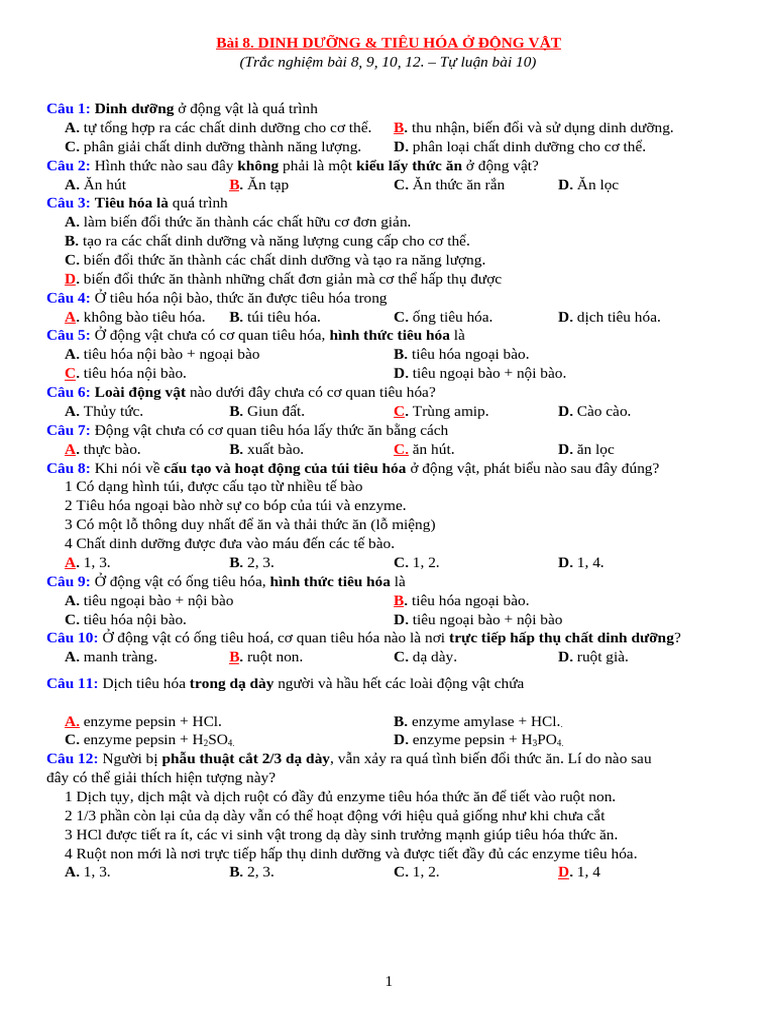 Bản Sao SINH 11-HKI | PDF