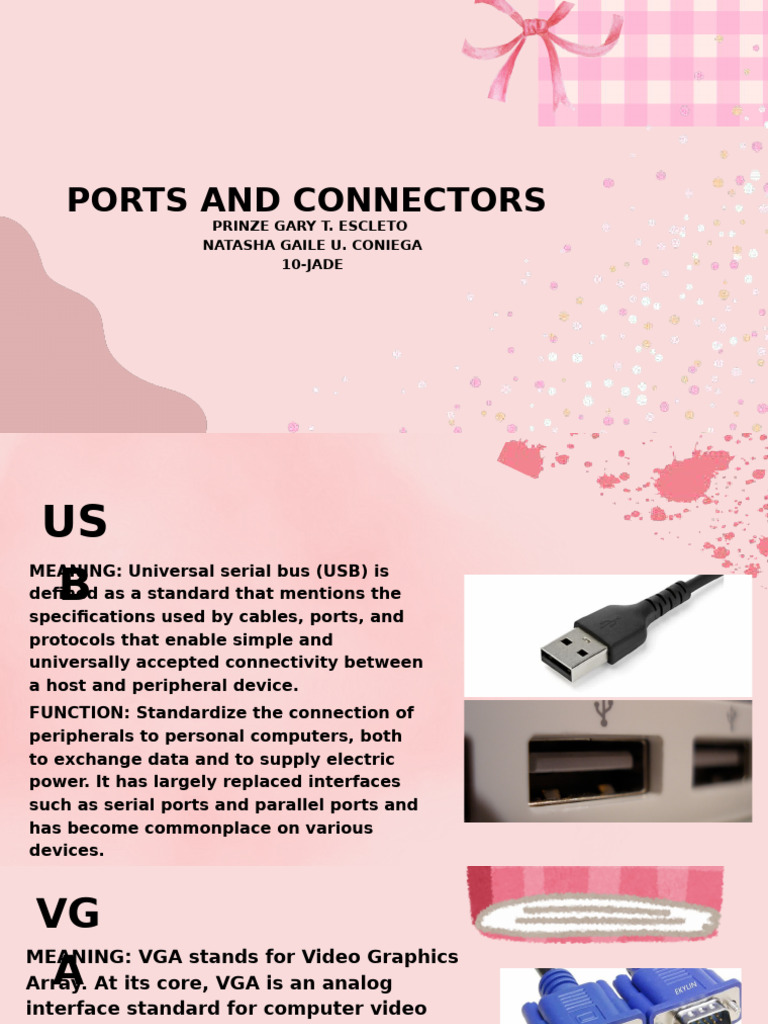Ports and Connectors Overview | PDF | Computer Network | Local Area Network