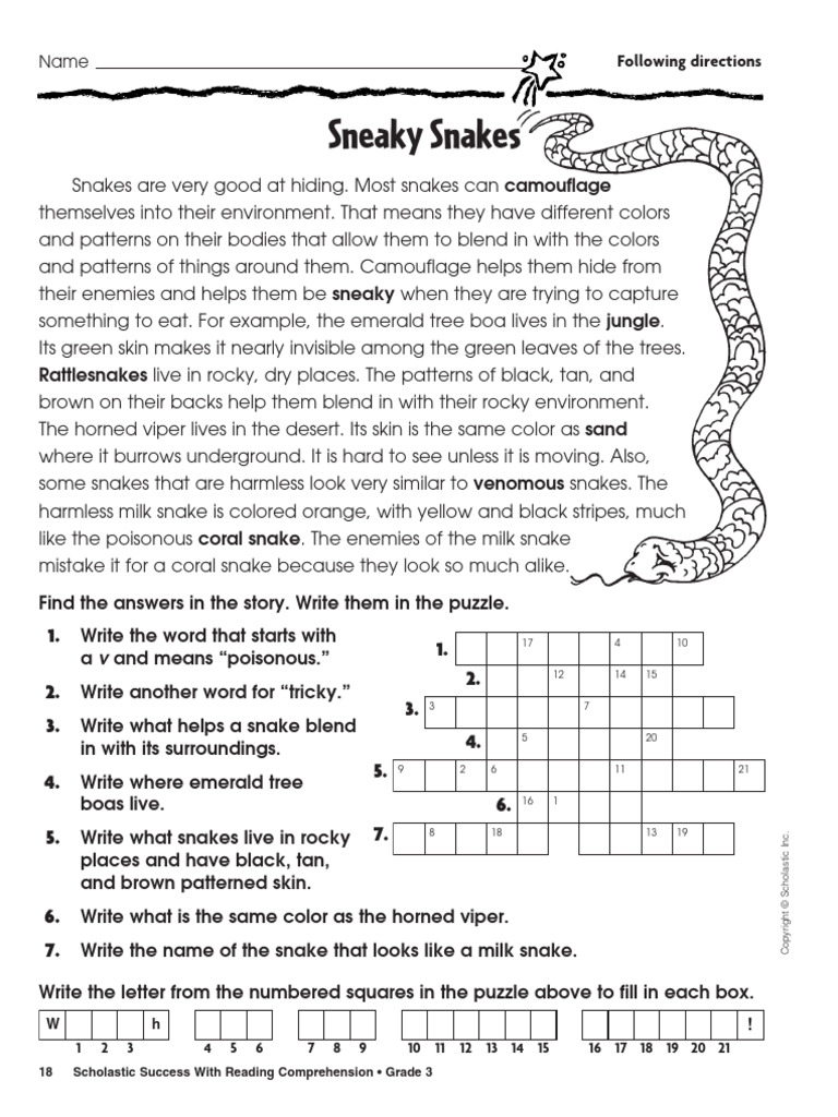 reading comp | PDF | Snake | Camouflage
