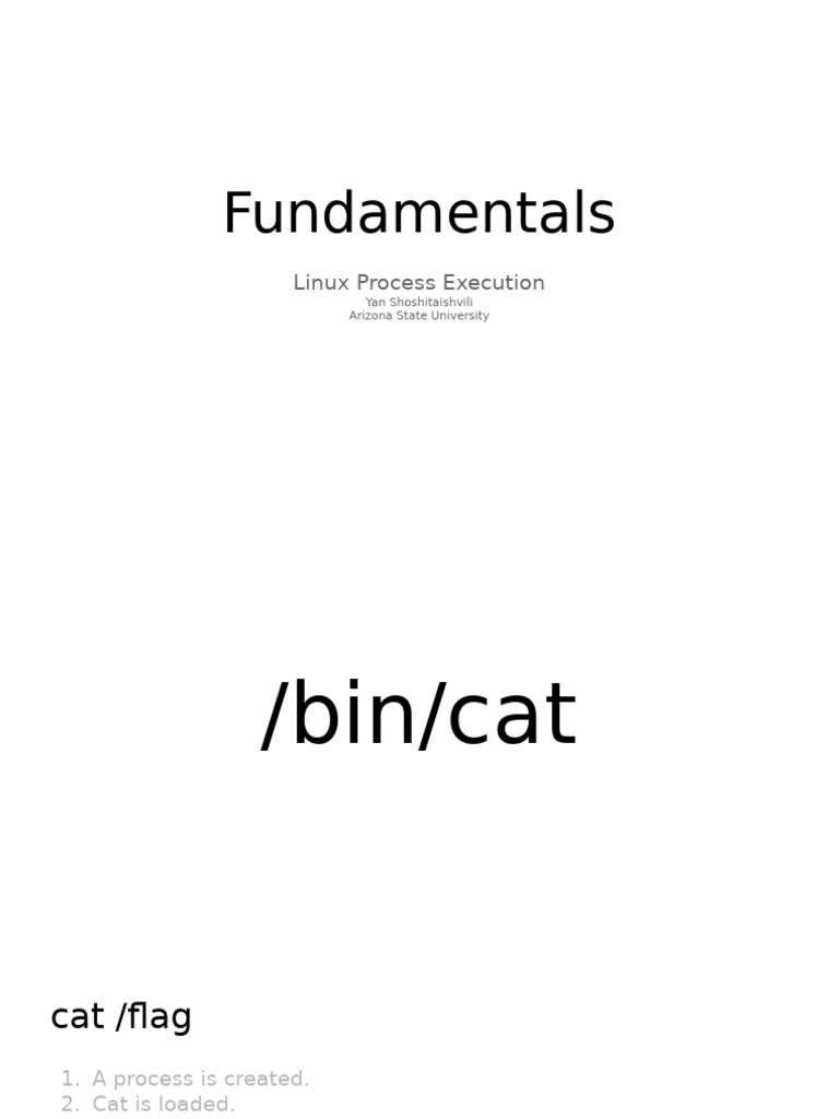 Fundamentals - Linux Processes Execution | PDF | Software | Software Development