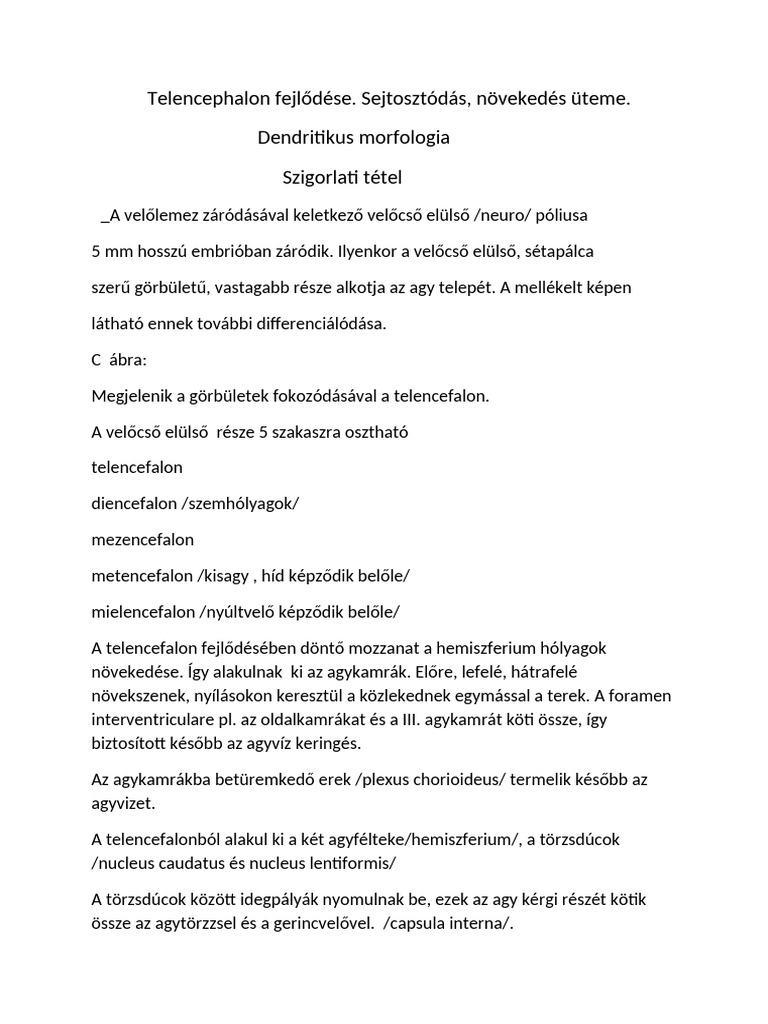 Telencephalon Fejlődése | PDF