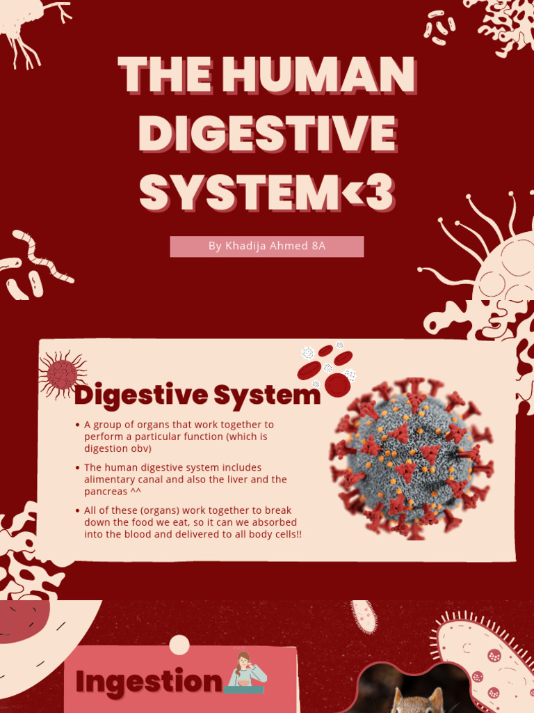 Organic Biology Project Presentation | PDF