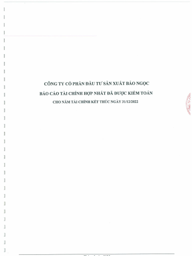 BCTC hợp nhất 2022 | PDF