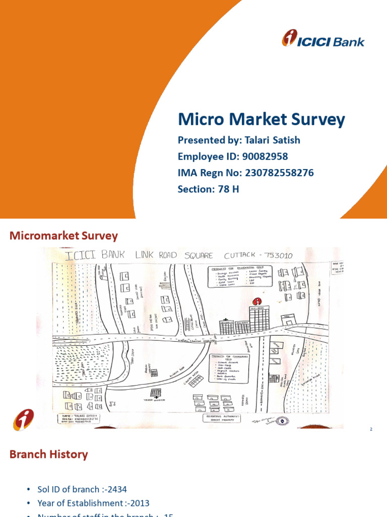 Micro Market Survey Overview 2023 | PDF