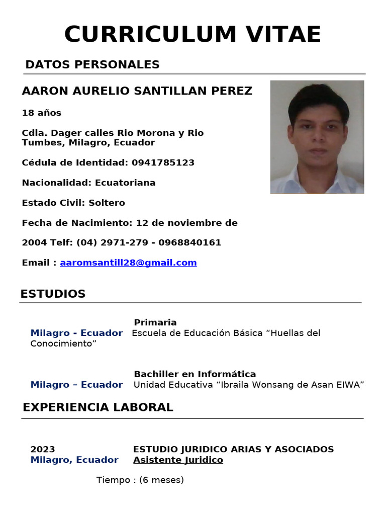 Curriculum Vitae AARON SANTILLAN | PDF