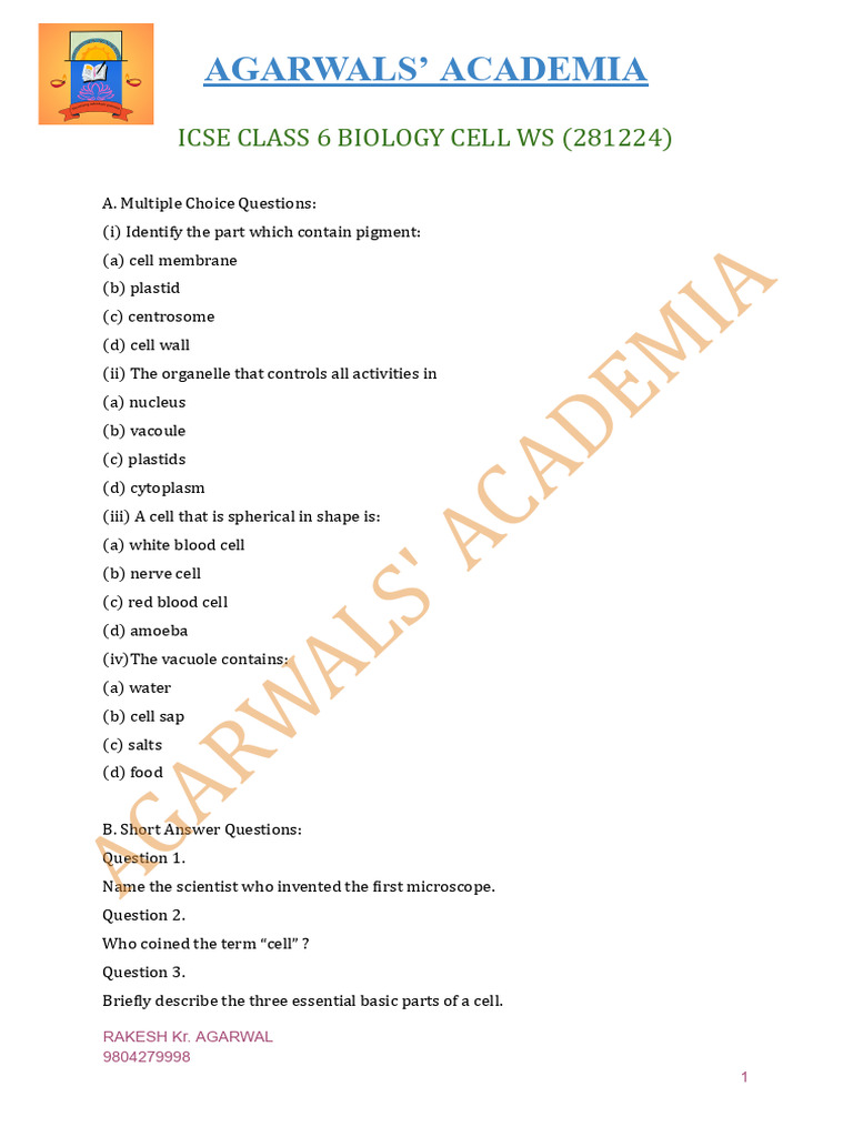 Class 6 ICSE Biology: The Cell Worksheet | PDF