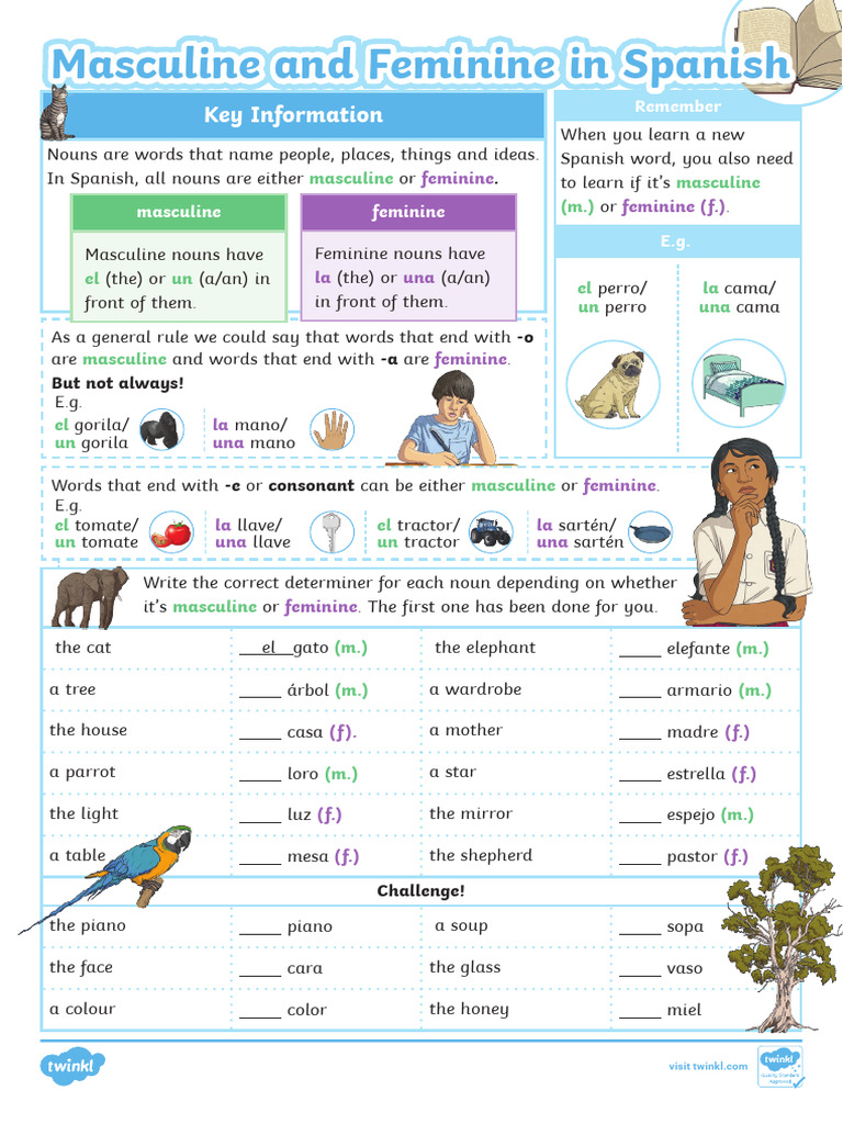 T T 6071 Spanish Masculine and Feminine Gender Worksheet - Ver - 2 ...