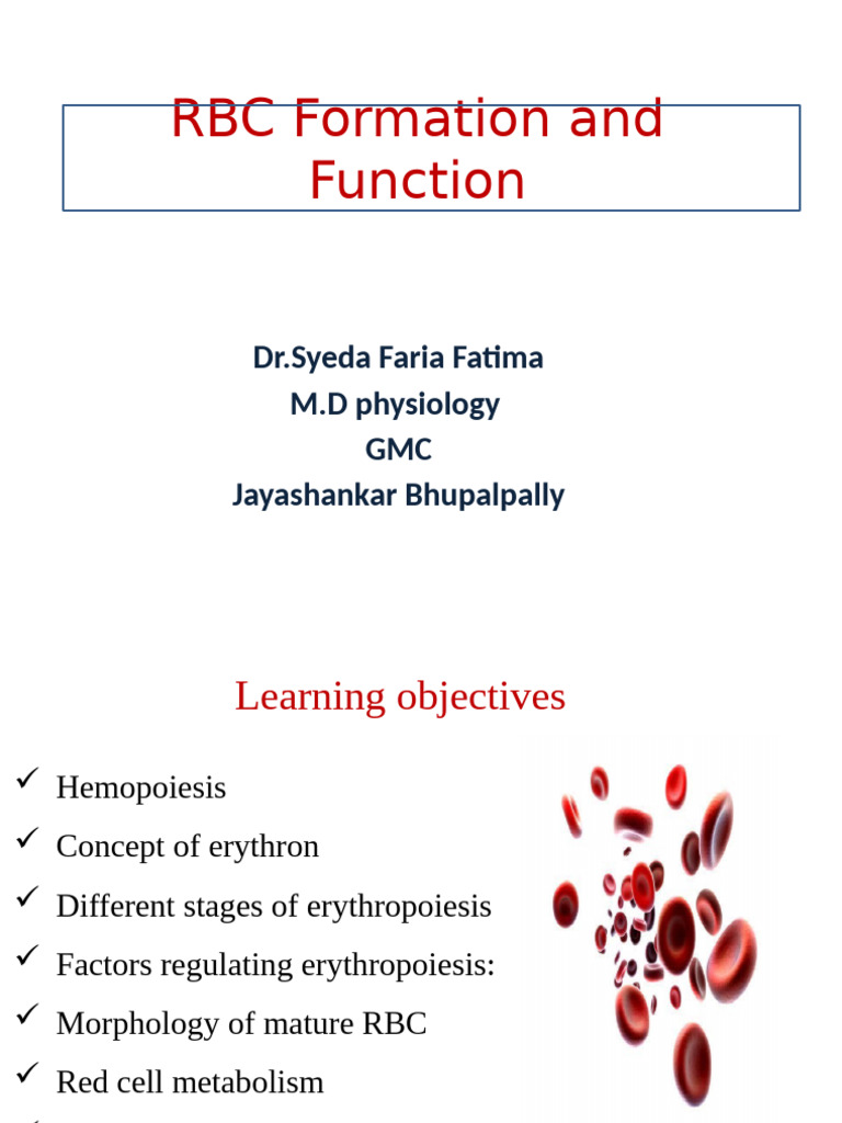 RBC -Bhpl Theory | PDF | Red Blood Cell | Haematopoiesis