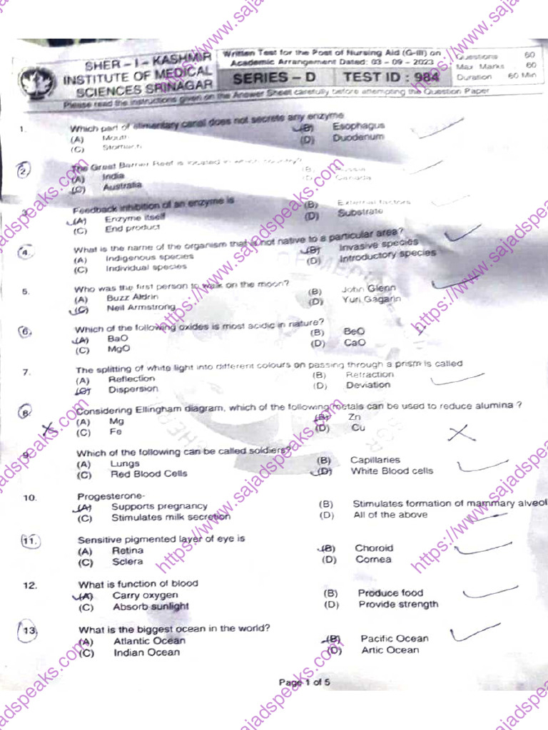Nursing Aid Paper Sajad Speaks | PDF
