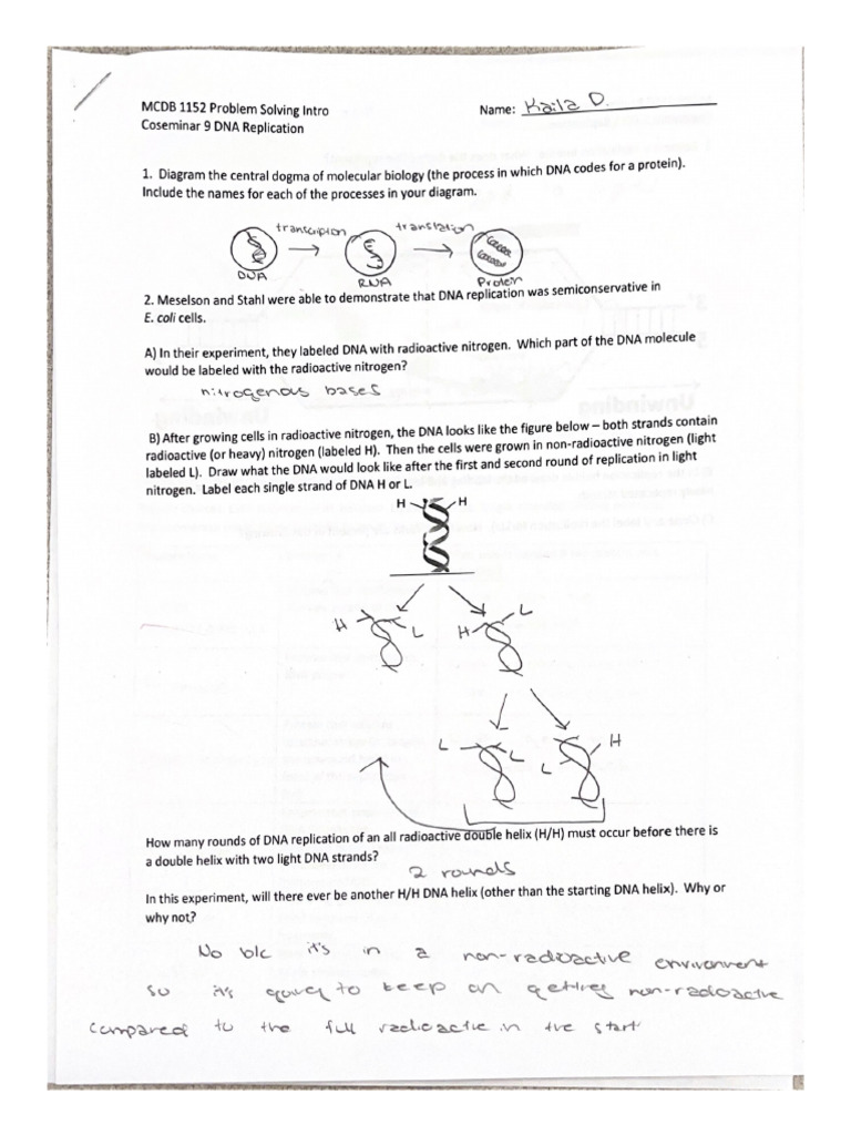 Worksheet bio | PDF
