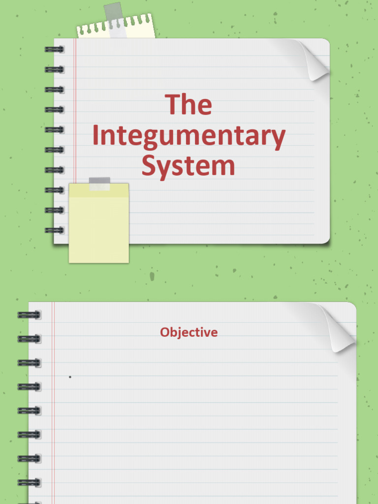 Q2 - Lesson 1 - The Integumentary System | PDF | Integumentary System ...