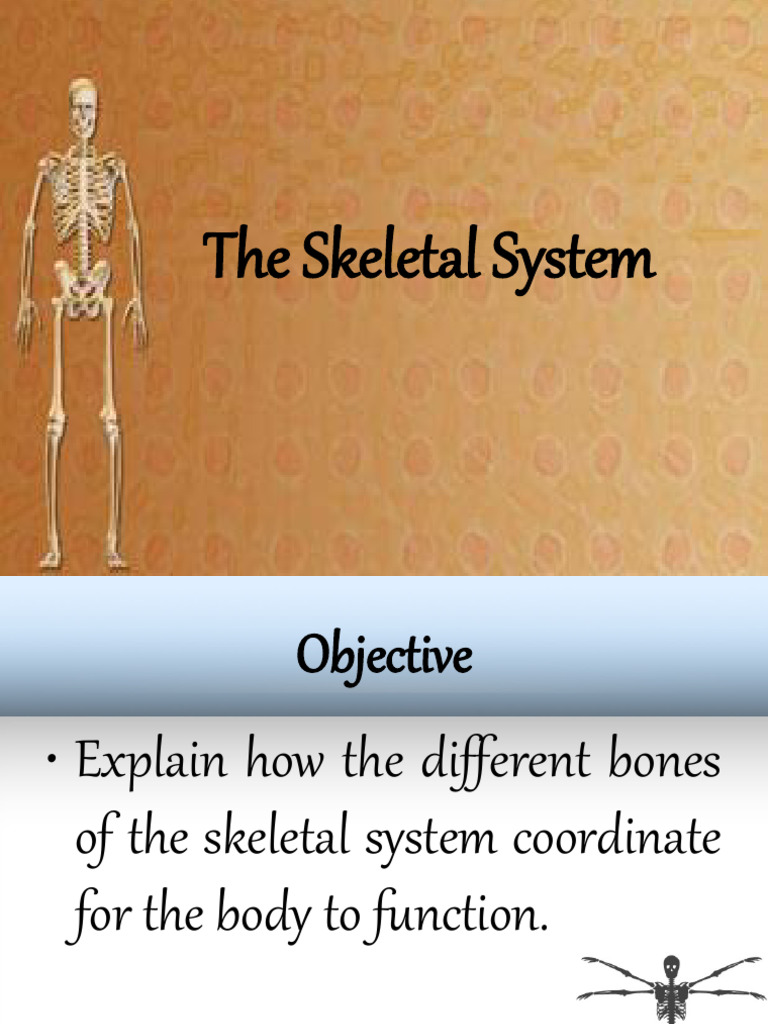 Q2 - Lesson 2 - The Skeletal System | PDF