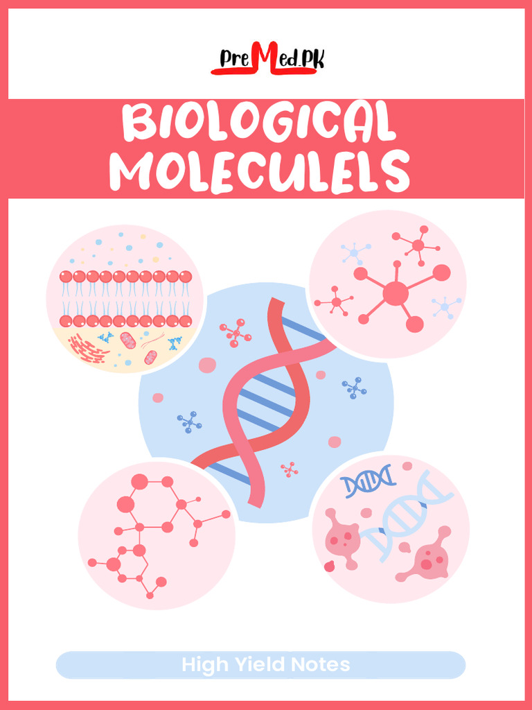 Biological Molecules PreMed | PDF | Carbohydrates | Polysaccharide