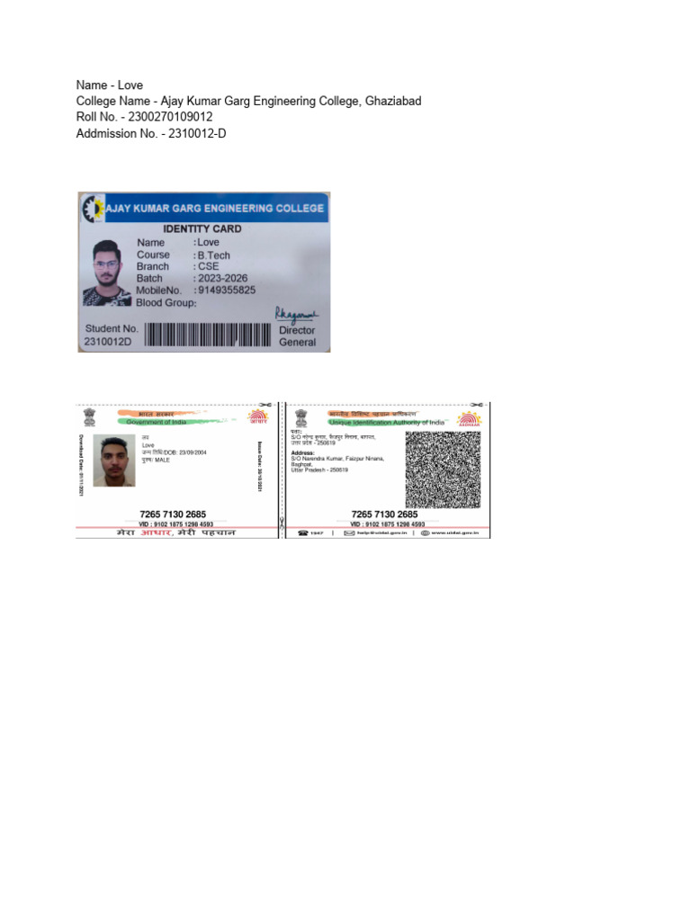 Mini Internship | PDF