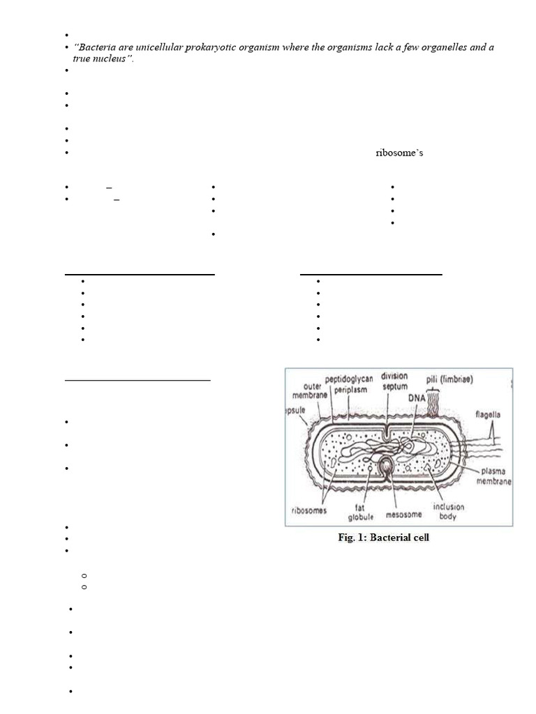 Bacterial Cell Ultrastructure Overview | PDF | Lipopolysaccharide ...
