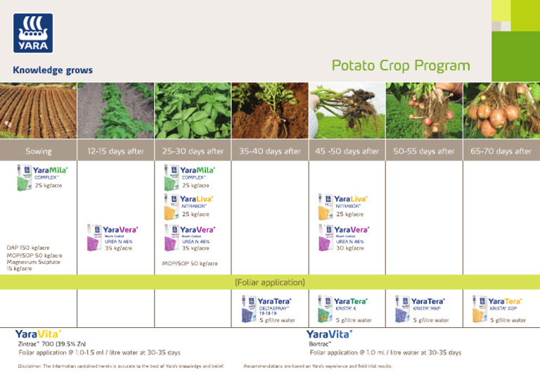 Potato Crop Plan | PDF