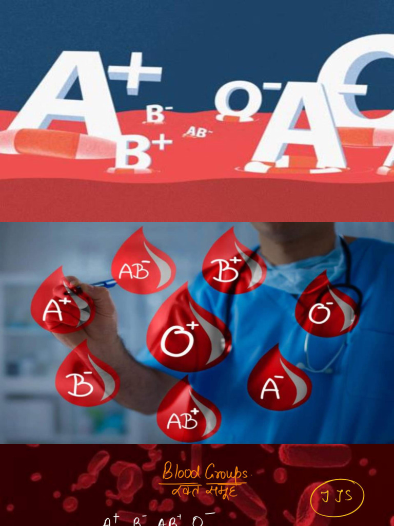 Blood Groups | PDF