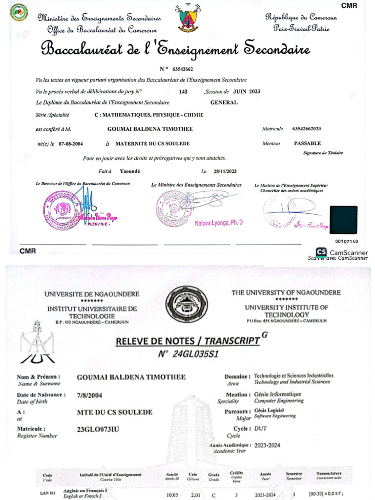 Diplôme Bac & Niveau 1 | PDF