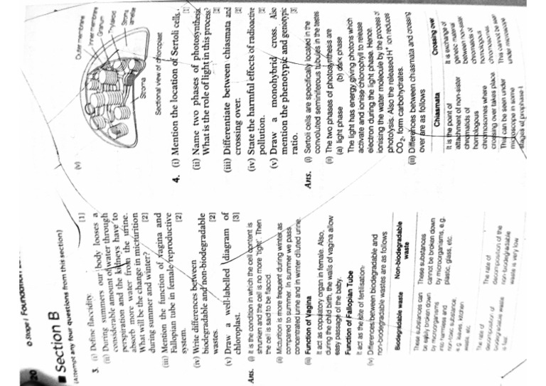 Biology Sample Paper | PDF