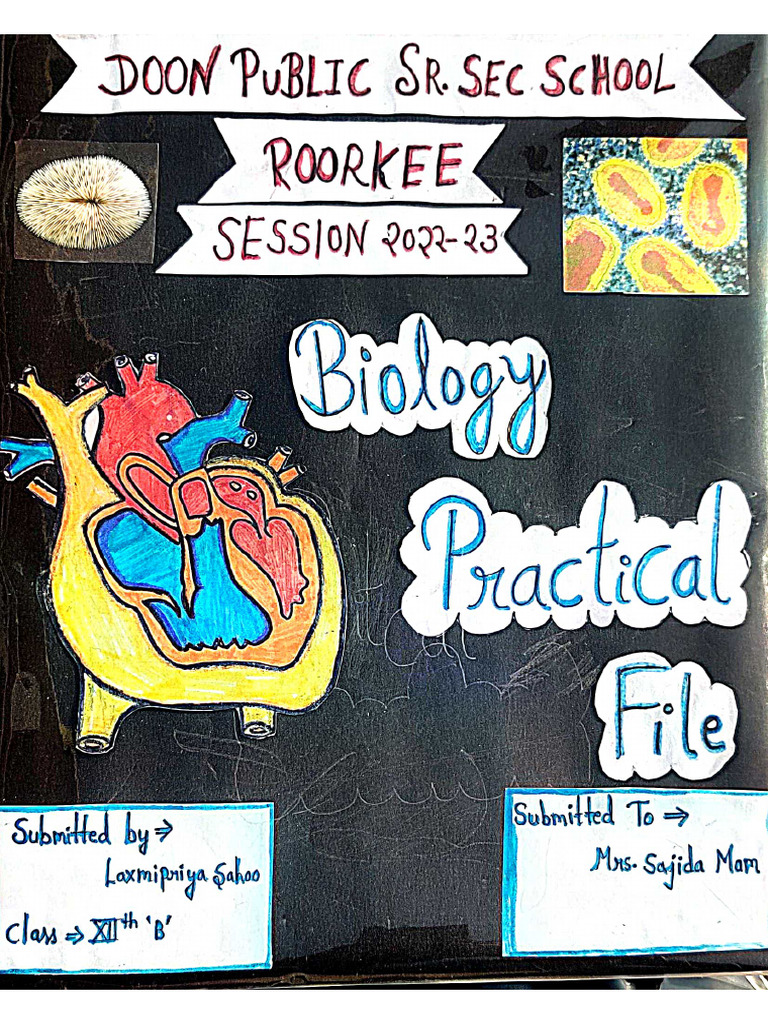 Class 12 Biology Practical File 2022-23 | PDF