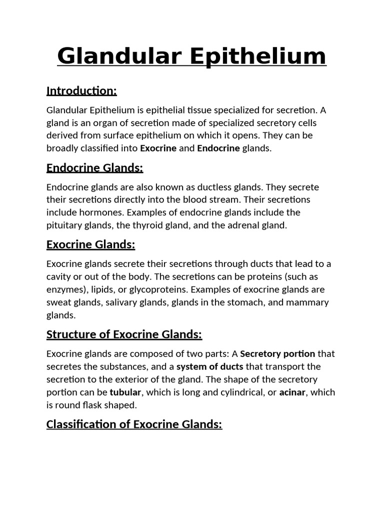 Glandular Epithelium: Types & Functions | PDF | Glands | Epithelium