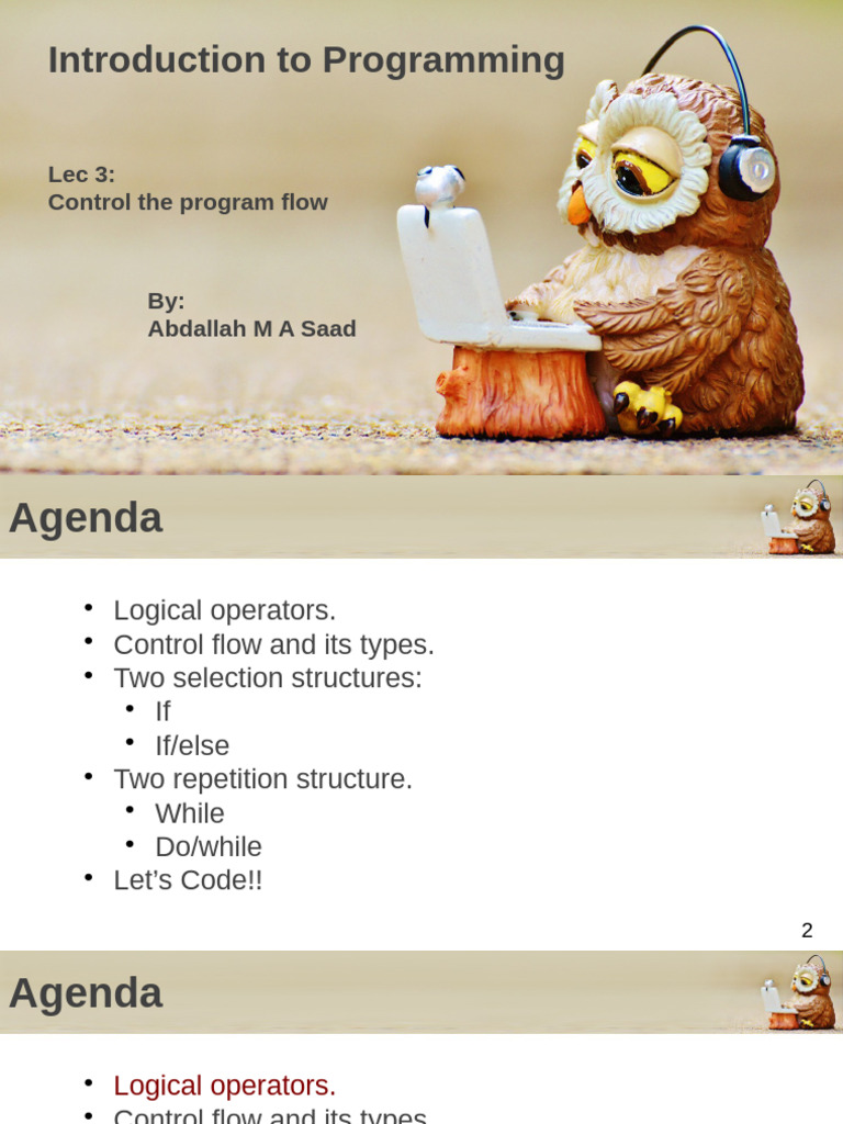 Lecture3controltheprogramflow Pdf Control Flow Computing 2513