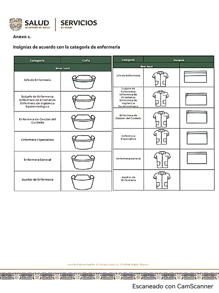 Anexos. Lineamientos de Uniforme de Enfermería IMSS-BIENESTAR | PDF