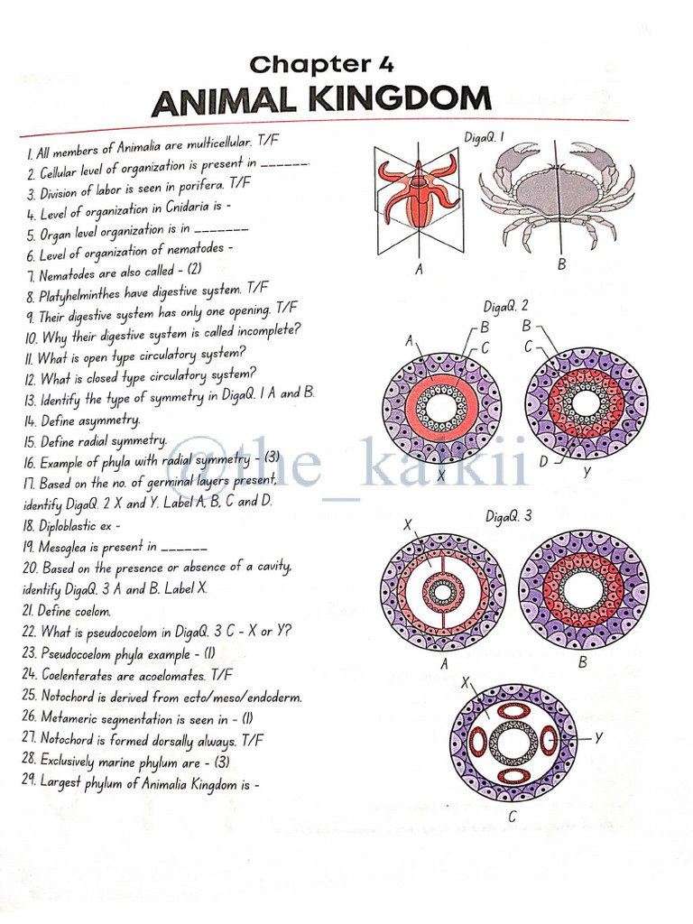 CH 4 Animal Kingdom | PDF