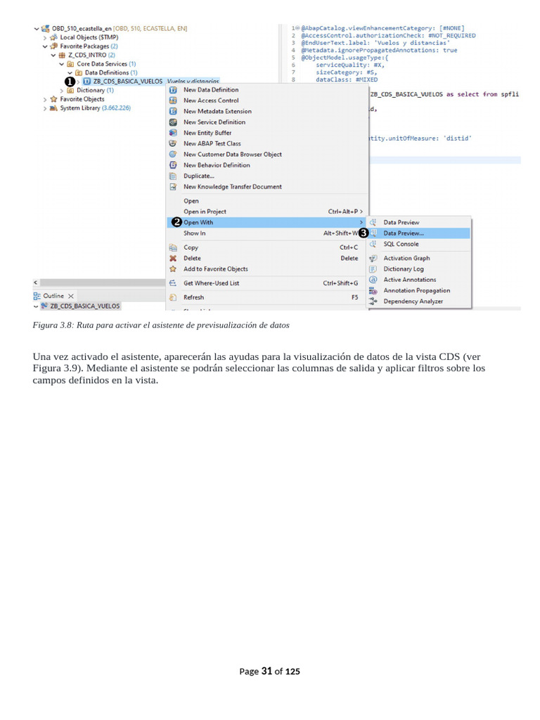 Primeros Pasos Con SAP Core Data Services | PDF | SQL | Informática