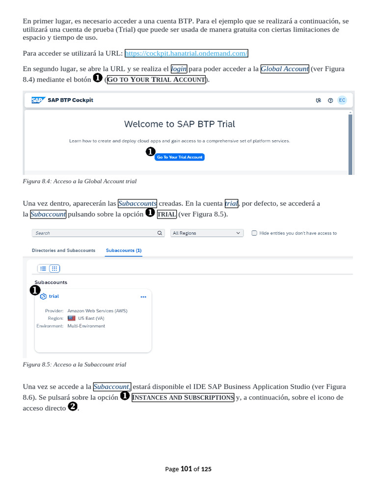 Primeros Pasos Con SAP Core Data Services | PDF | Interfaz de línea de ...
