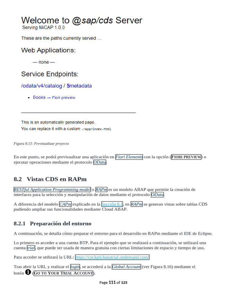 Primeros pasos con SAP Core Data Services (12) | PDF | Computación en la nube | Ingeniería de ...